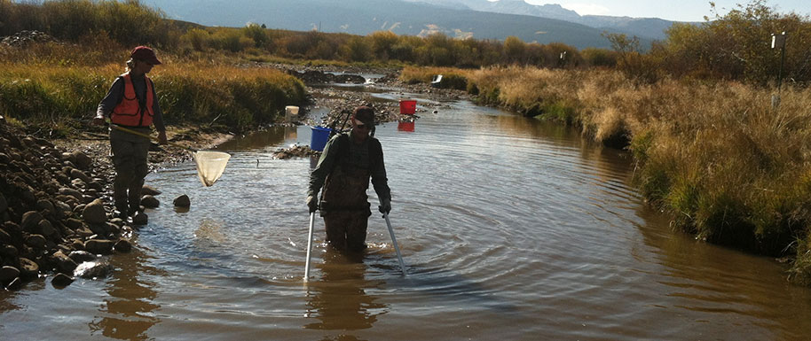 Geomorphic Assessment and Stable Channel Design - HydroGeo Designs ...